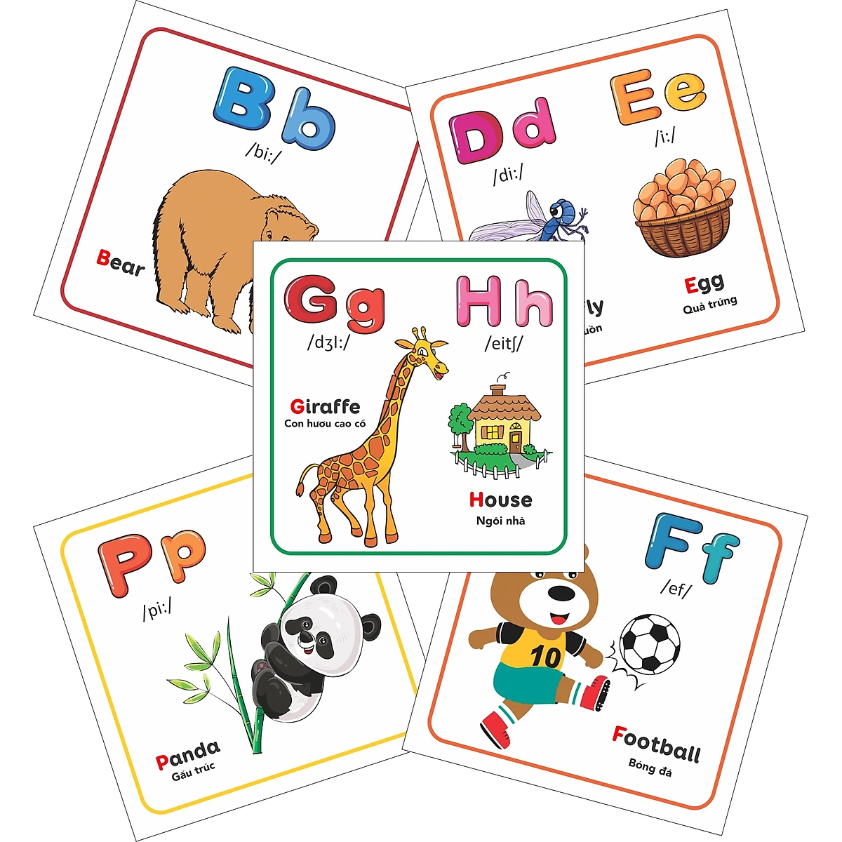Trọn bộ Thư viện hình ảnh đầu tiên cho bé Song Ngữ - Hộp 8 cuốn ...