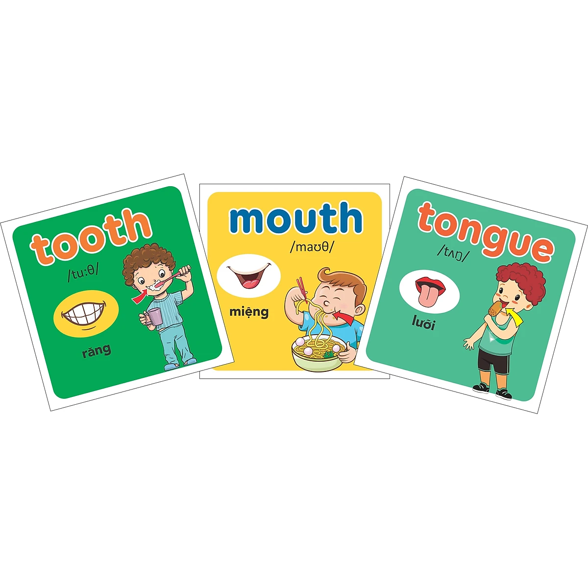 Trọn bộ Thư viện hình ảnh đầu tiên cho bé Song Ngữ - Hộp 8 cuốn ...