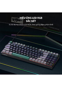 Review Bàn Phím Cơ Gaming ROBOT Workmate II - Hiệu Ứng Đèn RGB - 94 ...