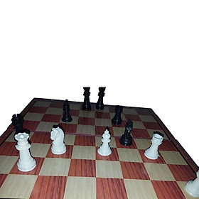 Mua Cờ vua nam châm chuẩn quốc tế 37x37 cm chất lượng cao P391