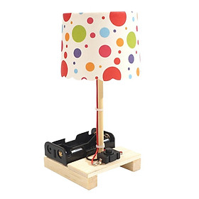 Mua Kids Science Experiment DIY Mini Desk Lamp Lighting Assembly ...