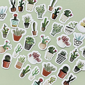 Mua Sticker hộp 45 miếng dán - Chậu Cây Xanh - Hộp nhãn dán trang trí ...
