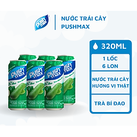 Lốc Lon Nước Trái Cây Trà Bí Đao Pushmax (320ml x 6 Lon) | Tiki
