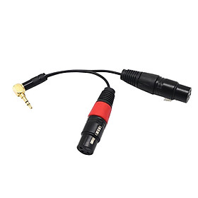 Dual 3 Pin XLR Female to Right Angle 3.5mm Stereo Jack Mic Audio Cable 20cm