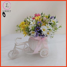 Mua Xe đạp hoa nhiều mẫu trang trí bàn, kệ tủ, giá sách, làm quà tặng ...