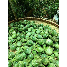 Mua Trái Cà Đắng đặc sản Tây Nguyên.