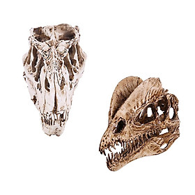 Mua Pack 2 Resin Dinosaur Skull Model And Dilophosaurus Skeleton Figurine