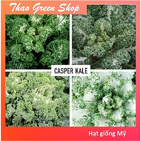 Mua Hạt Giống Cải Kale Xoăn Thủy Tinh Casper Mỹ