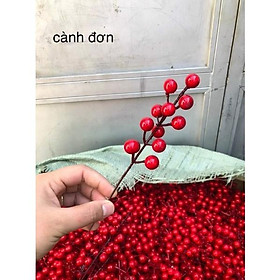 Mua cành đào đông đỏ (cành đơn)