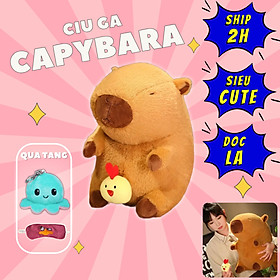Mua Thú nhồi bông capybara ciu gà đáng yêu - Size từ 35cm đến 65cm ...