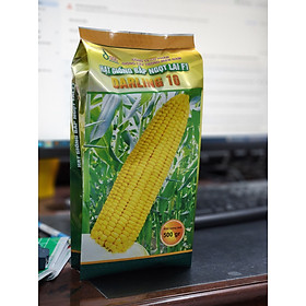 Mua Hạt giống bắp ngọt lai F1 Darling 10 Giống Cây Trồng Miền Nam gói 500g
