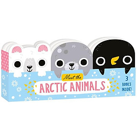 Mua Meet The Arctic Animals - Mini Board Book Set
