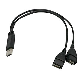 Mua USB 2.0 A Male to 2 Dual Female Y Spliter Hub Power Cord Adapter Cable
