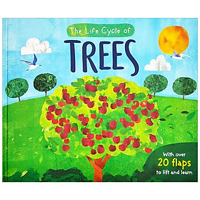 Mua The Life Cycle Of Trees