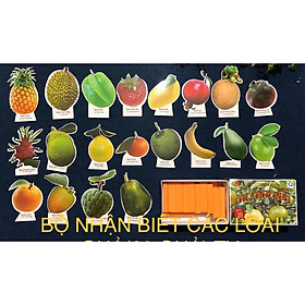Mua [Có sẵn] [Ảnh thật] BỘ TRANH GIÚP BÉ NHẬN BIẾT CÁC LOẠI QUẢ 20 QUẢ ...