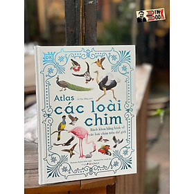 Mua (Bìa cứng, in màu toàn bộ) A.TLAS CÁC LOÀI CHIM - Barbara Taylor ...