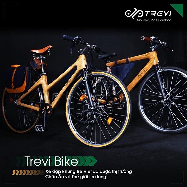 Mua Xe đạp Tre trợ lực điện Trevi Moonlight - Trevi Bike tại Haybike