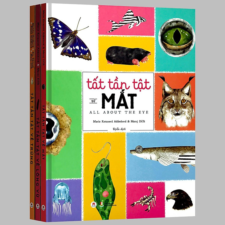 Mua TẤT TẦN TẬT VỀ MẮT tại Bamboo Books