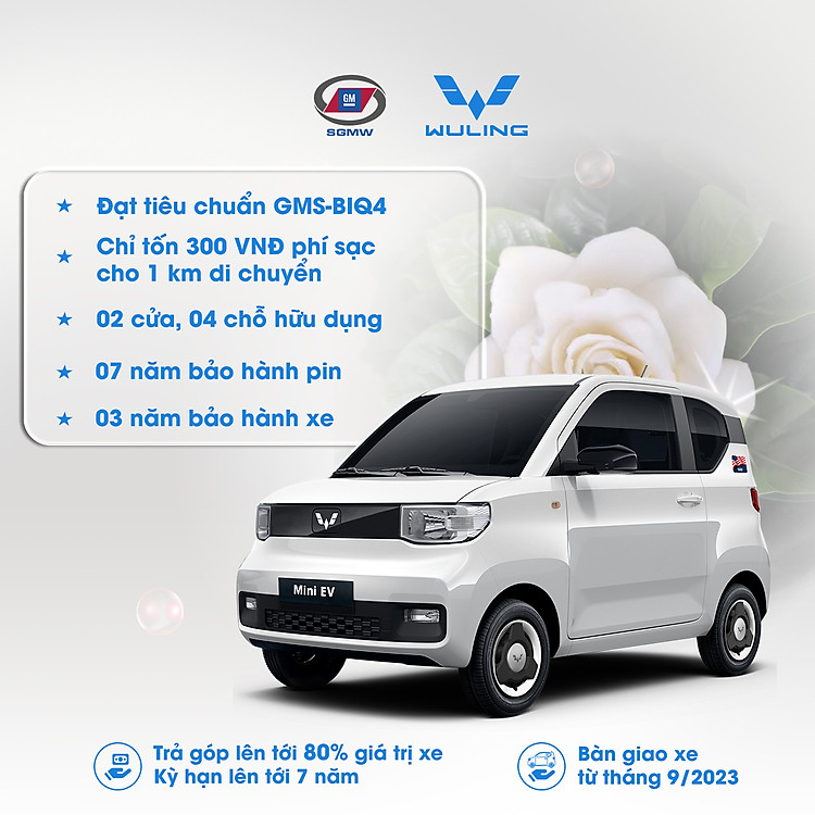 Mua Phiếu đặt cọc [LV1-170 Km] Ô tô điện Wuling Mini EV - ĐẶT CỌC LINH HOẠT - Trắng thiên hương ...