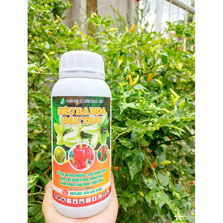 Mua PHÂN BÓN CHUYÊN DÙNG RA HOA CHO RAU MÀU (ỚT, DƯA, BẦU BÍ,...), RA ...