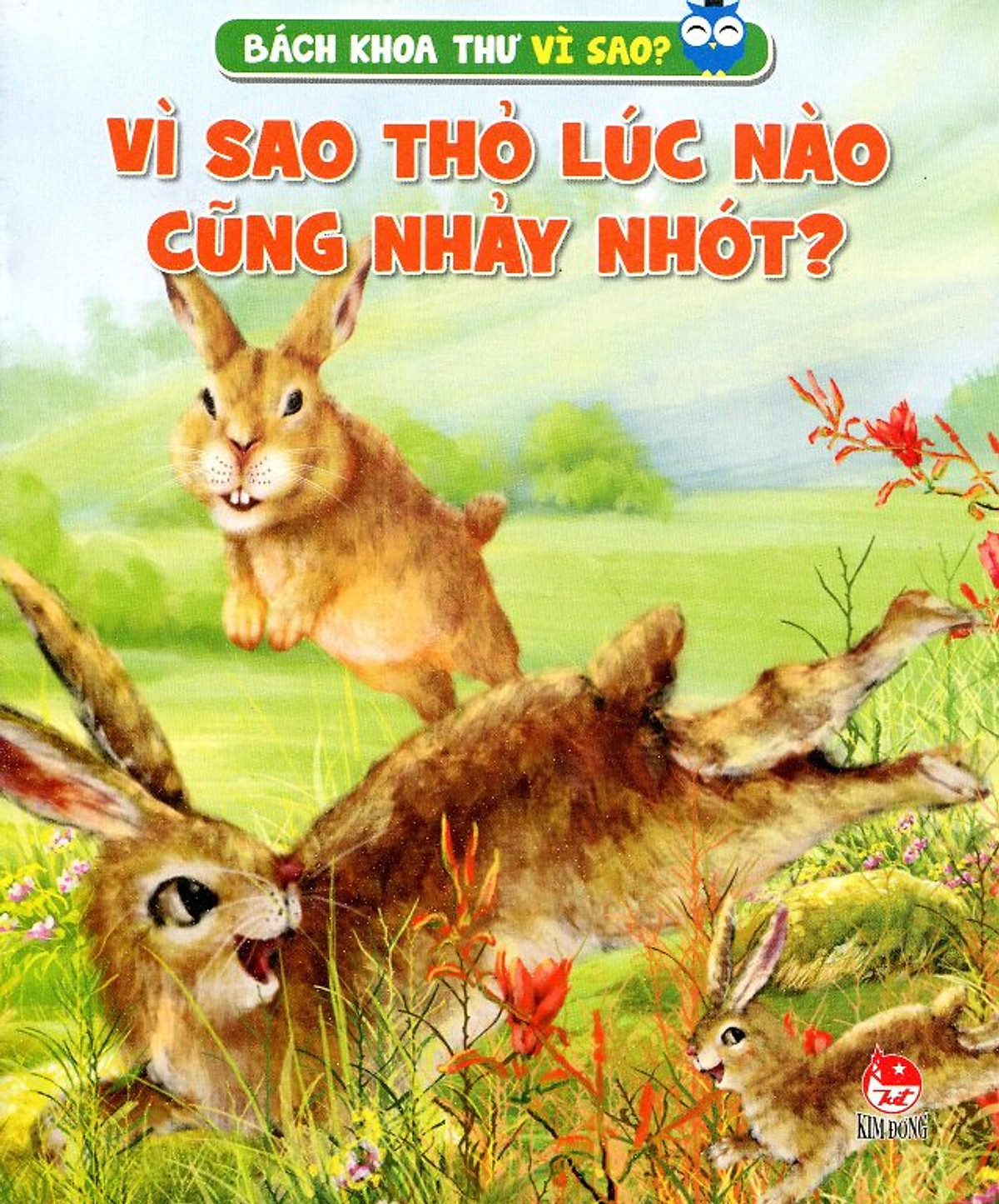 Mua Vì Sao Thỏ Lúc Nào Cũng Nhảy Nhót