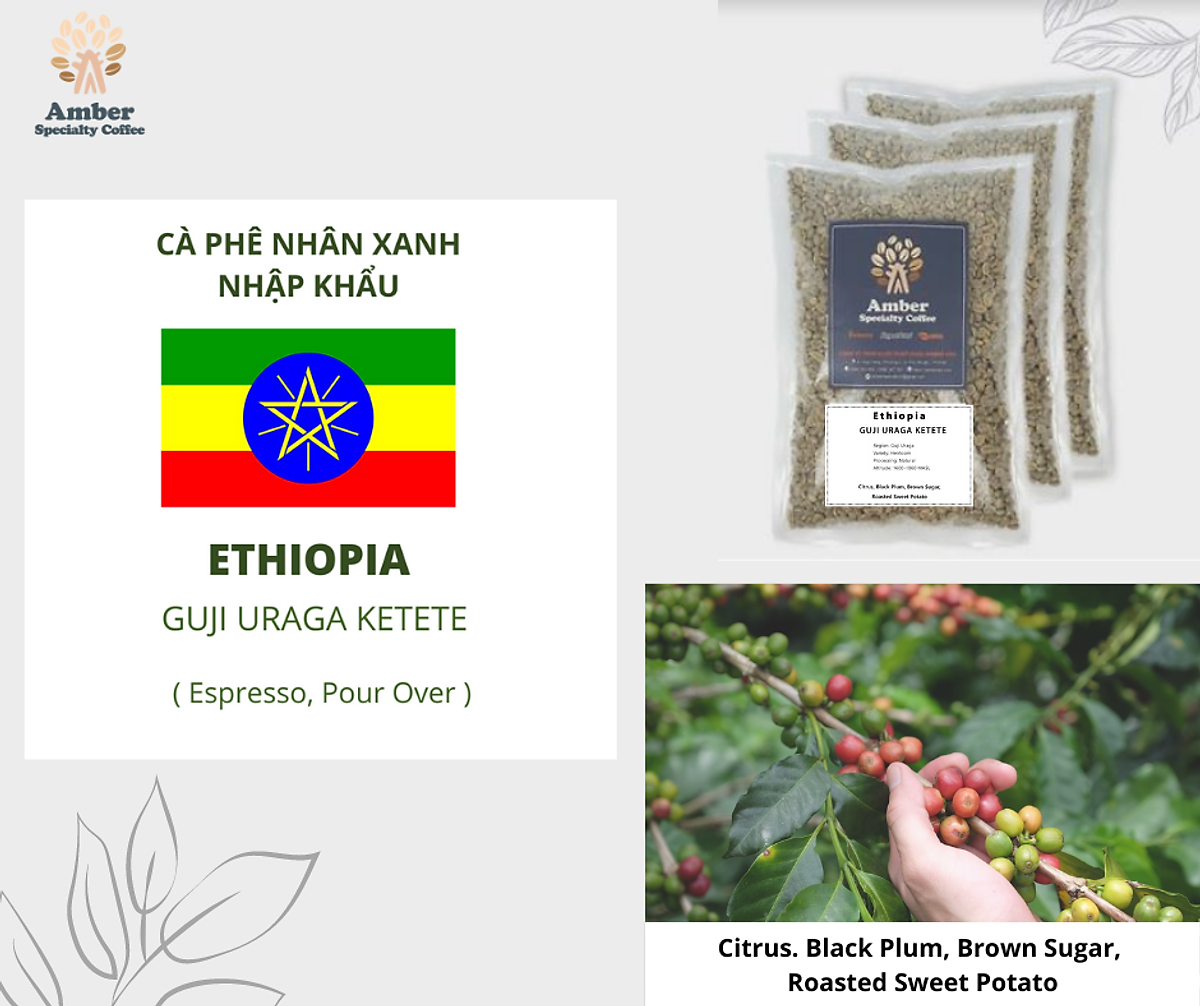 Mua Cà Phê Nhân Xanh Ethiopia Guji Uraga Ketete Natural G1 1KG | Amber Specialty Coffee