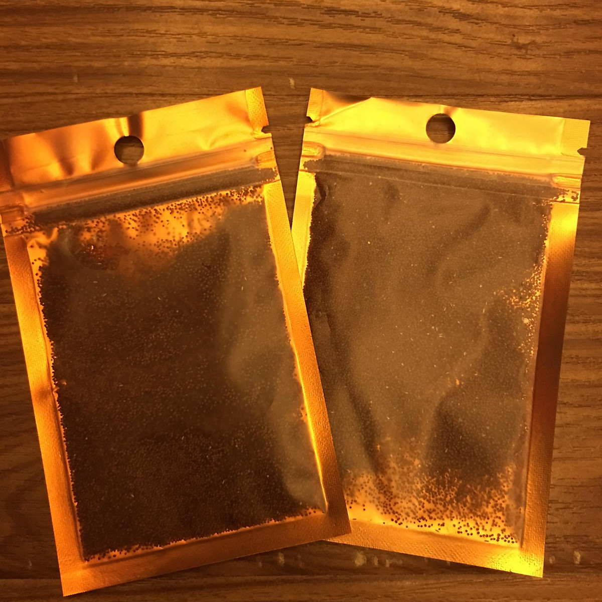 Hình ảnh Hạt giống thủy sinh, cây thủy sinh (trân châu ngọc trai, ngưu ...