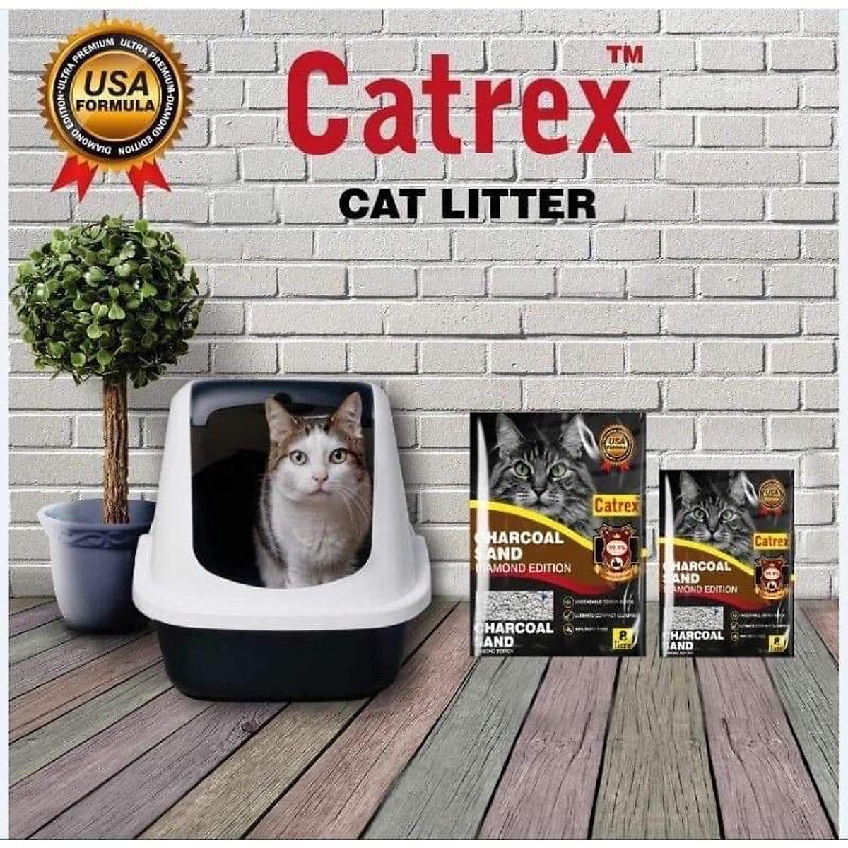 Mua Cát Vệ Sinh Cho mèo CATREX bao 10L - Táo tại Xuân Tự Pet Shop Hà Nội