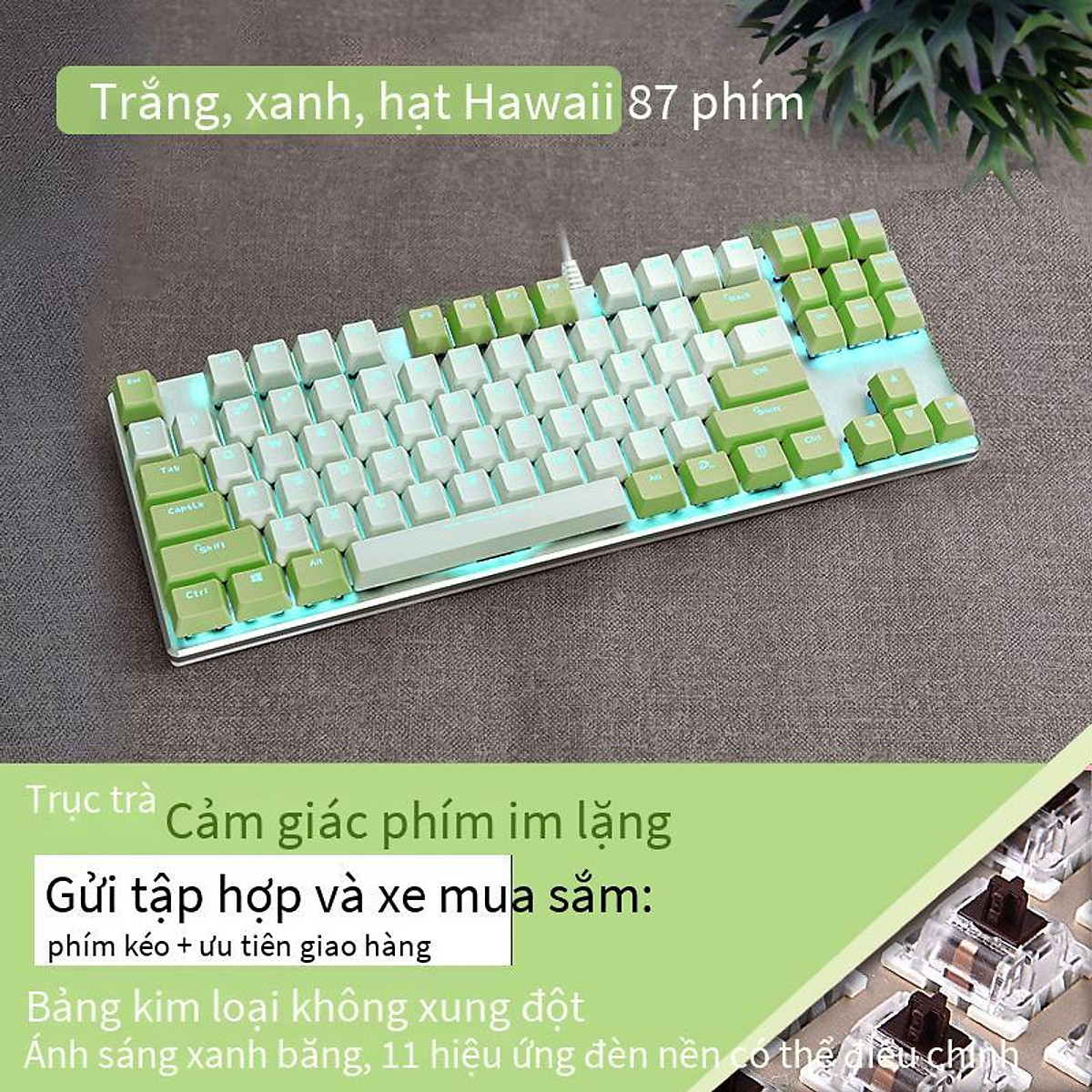 Mua Bàn phím cơ Wrangler kiểu dáng mới nhất EK815 chuyên game có dây trục xanh trục đen đèn nền ...