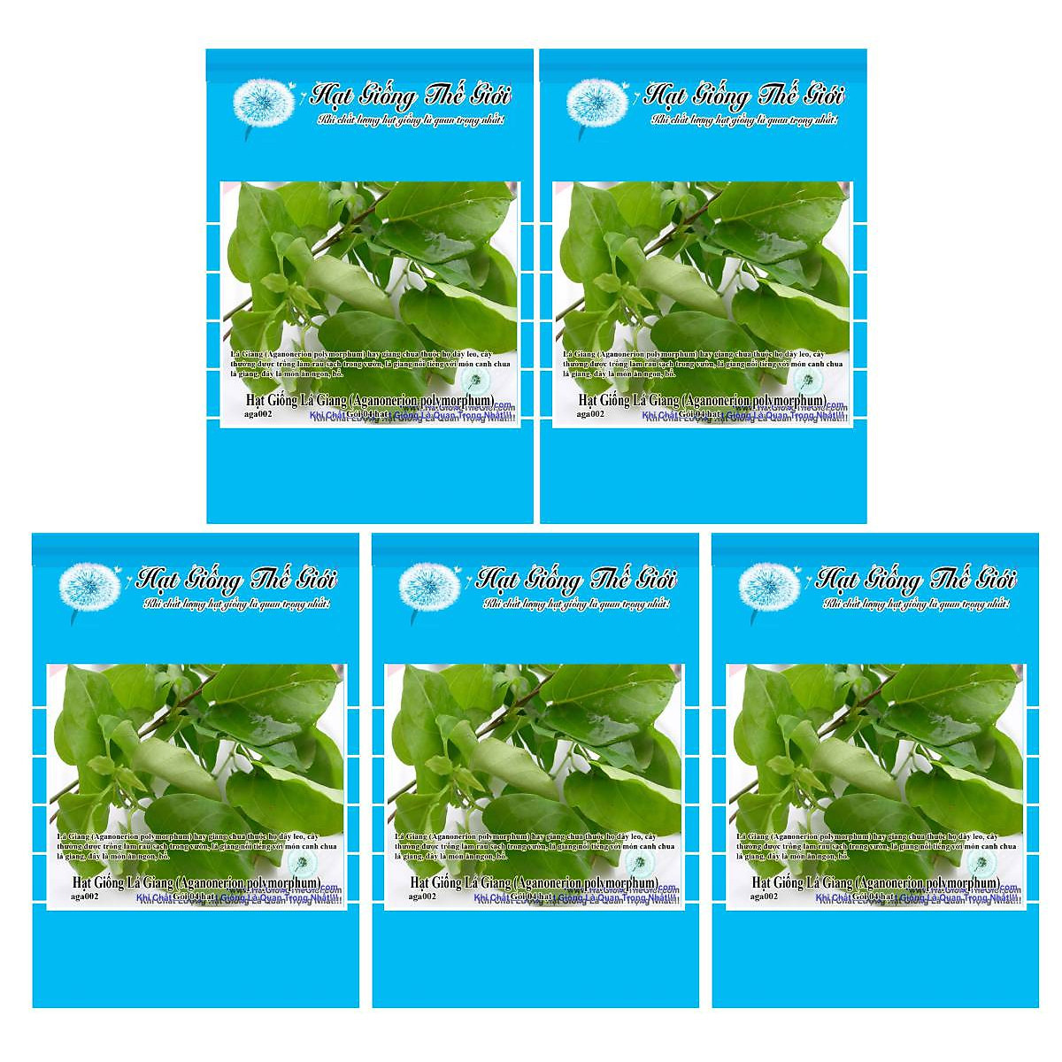 Mua Bộ 5 Gói Hạt Giống Lá Giang (Aganonerion polymorphum) 4h