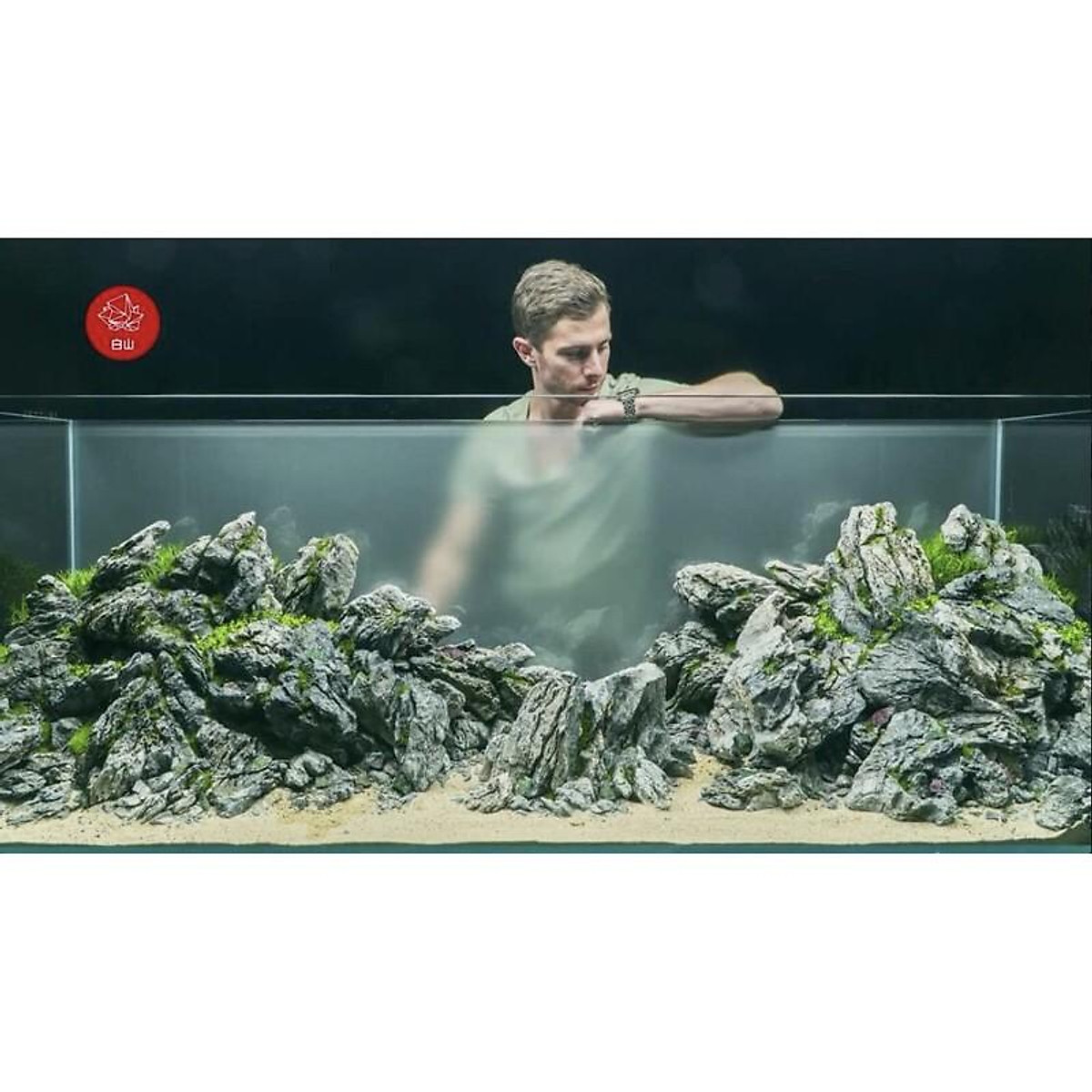 ĐÁ DA VOI 1 KG - THIẾT KẾ HỒ THUỶ SINH | IWAGUMI BIOTOP HỒ NÚI ĐÁ THUỶ ...