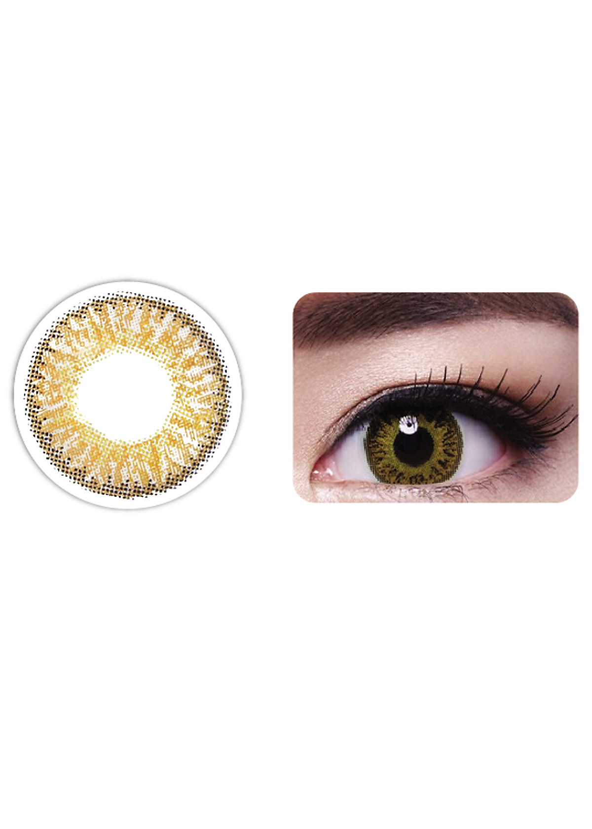 Mua Kính áp tròng Warm Hazel 1,25 độ