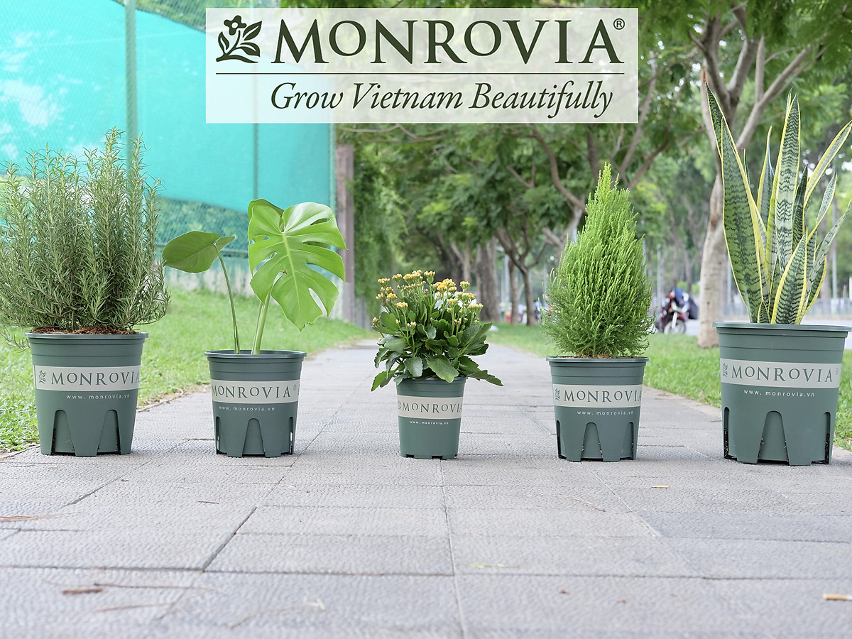 3 Chậu nhựa trồng cây MONROVIA 6 Gallon, Dòng M-Series, chậu trồng cây ...