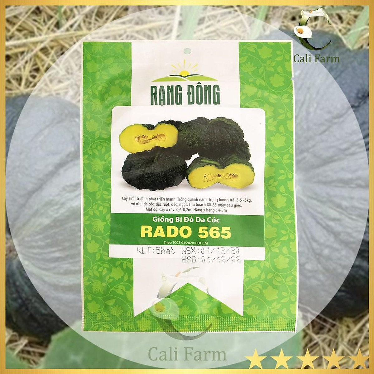 Hạt giống Bí Đỏ Da Cóc Rado 565 -NON GMO- Hạt giống Rạng Đông, Chất ...