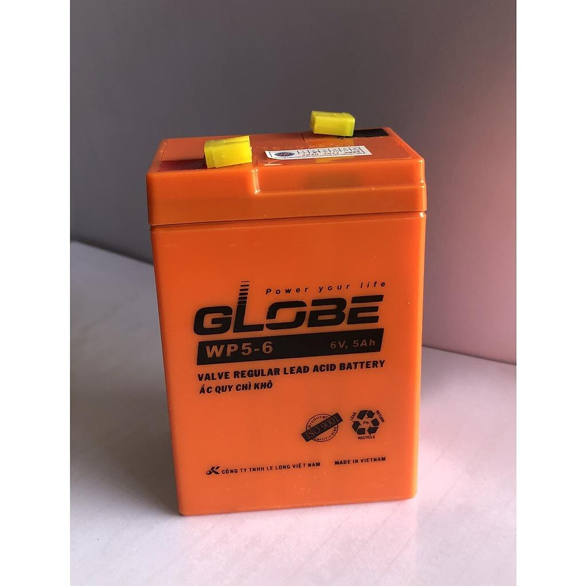 Mua Ắc quy khô Globe WP5 - 6 (6V - 5Ah) dùng cho đèn sạc, quạt sạc, cân điện tử tại ẮC QUY THIÊN ...