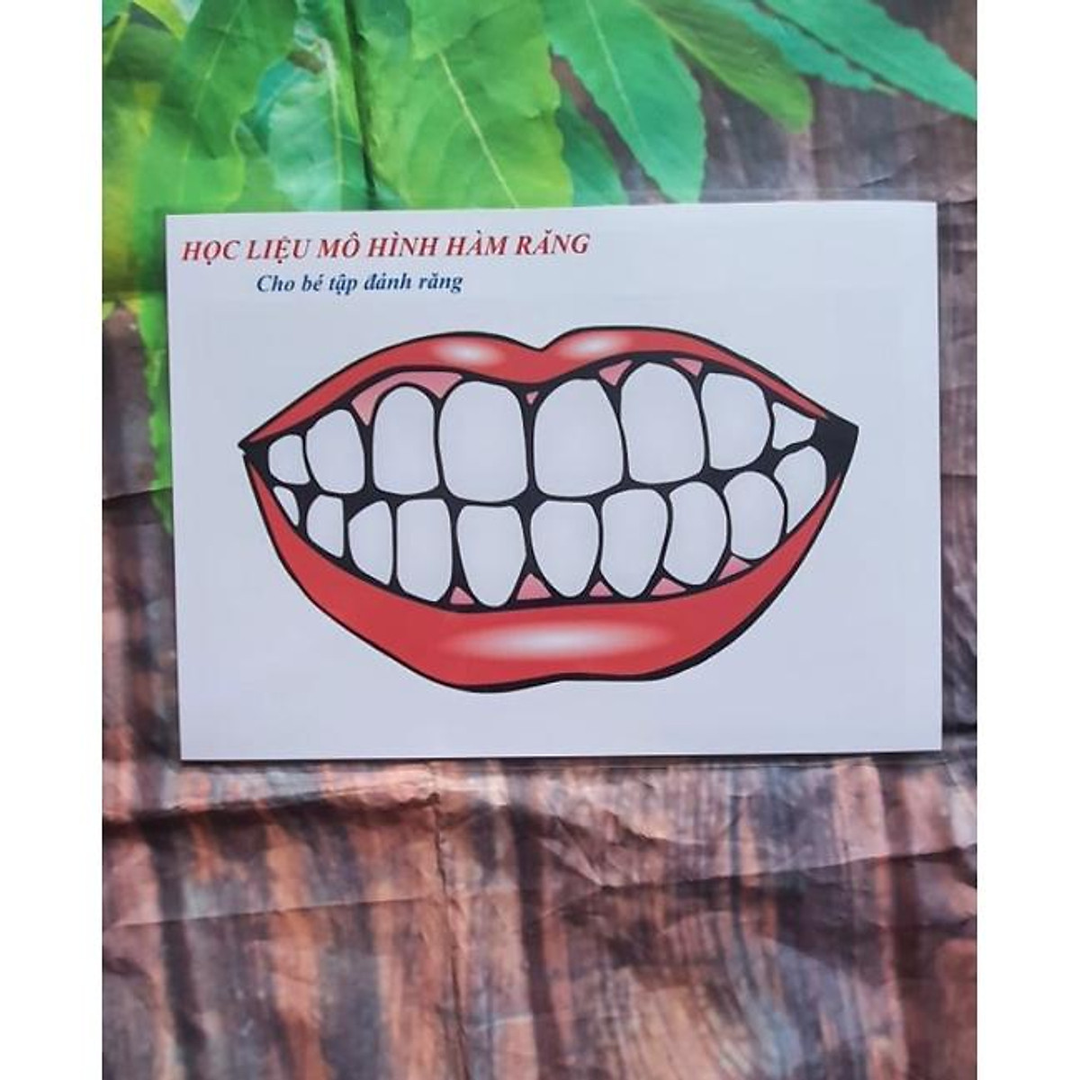 Mua Bé Tập Đánh Răng Xinh tại Marushop23