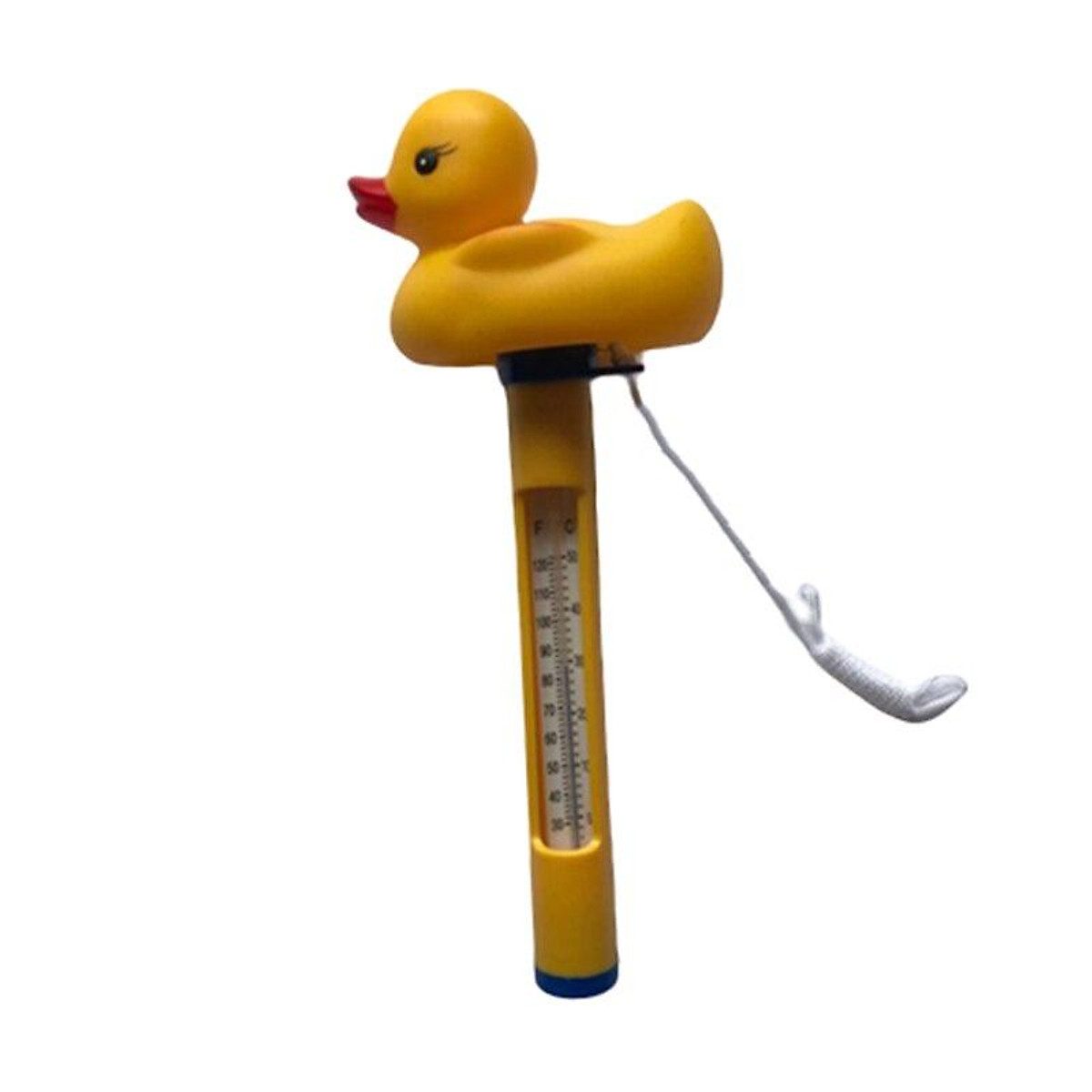 Floating Pool Thermometer Water Temperature Thermometers with String ...