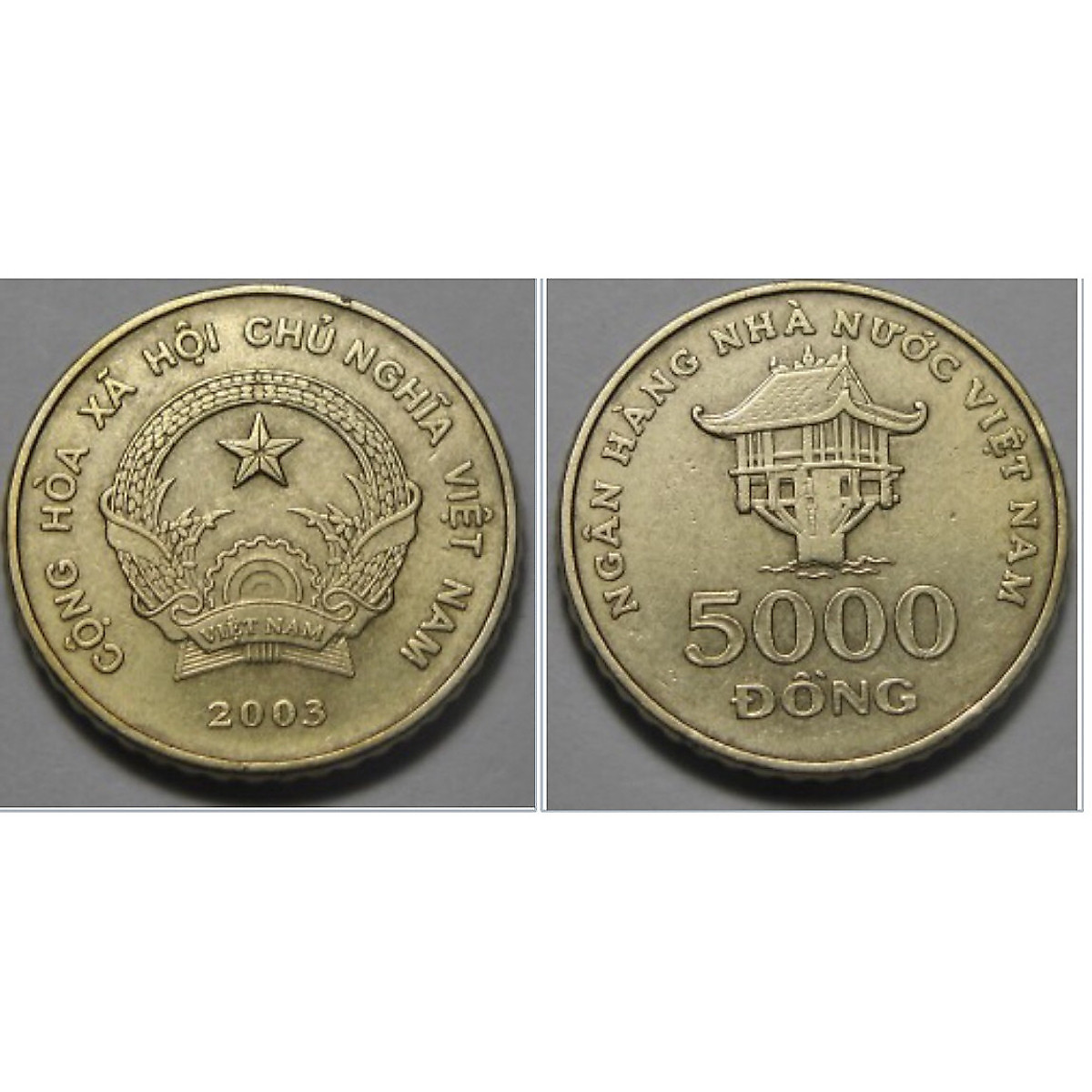 Tổng hợp các hình ảnh đồng tiền xu việt nam đẹp và cổ kính nhất