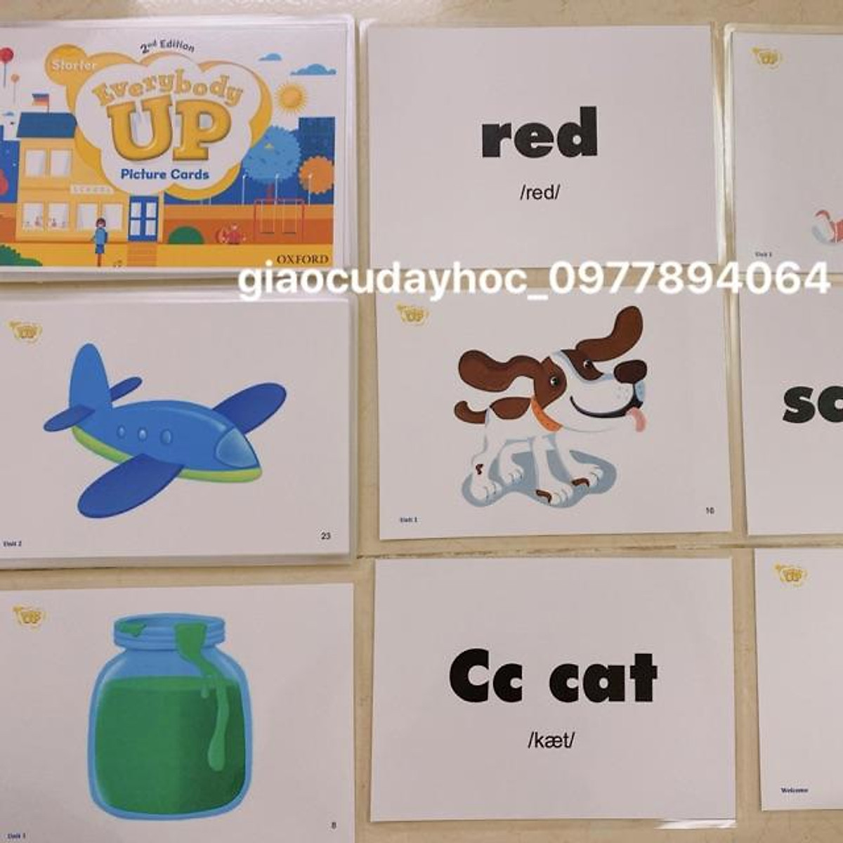 FLASHCARDS EVERYBODY UP Starter | Tiki