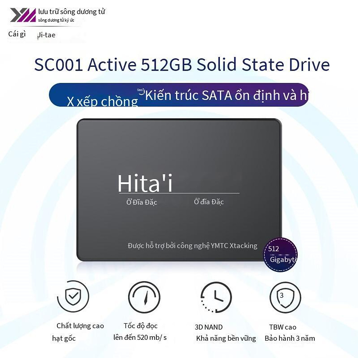 Mua Giao diện SSD SATA 3.0 dòng YMTC SC001 được ưa chuộng nhất Dòng SC001 Active - 256GB tại SFO001