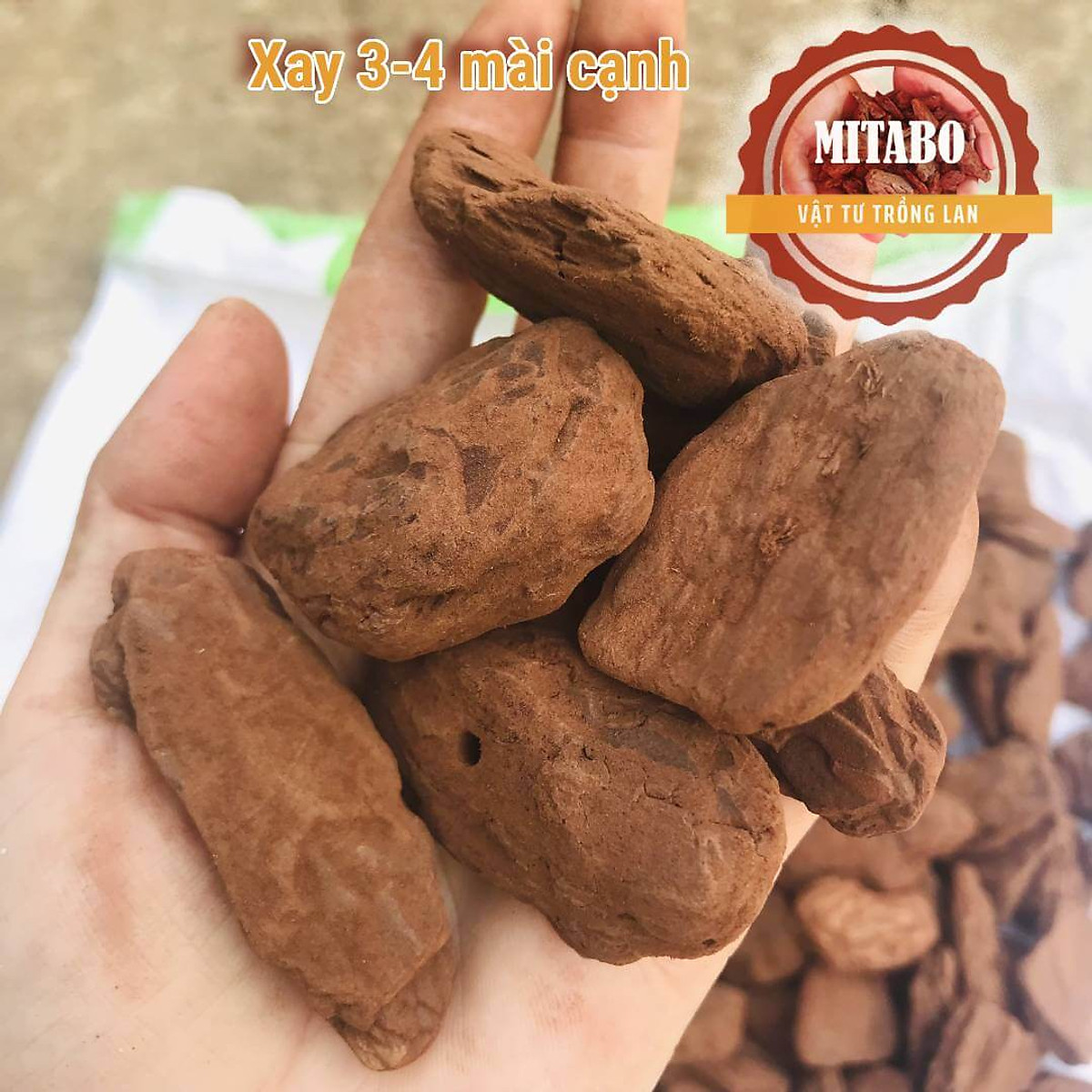 5kg vỏ thông kích thước 3-4cm mài cạnh tròn đẹp - Phụ kiện cây & hoa