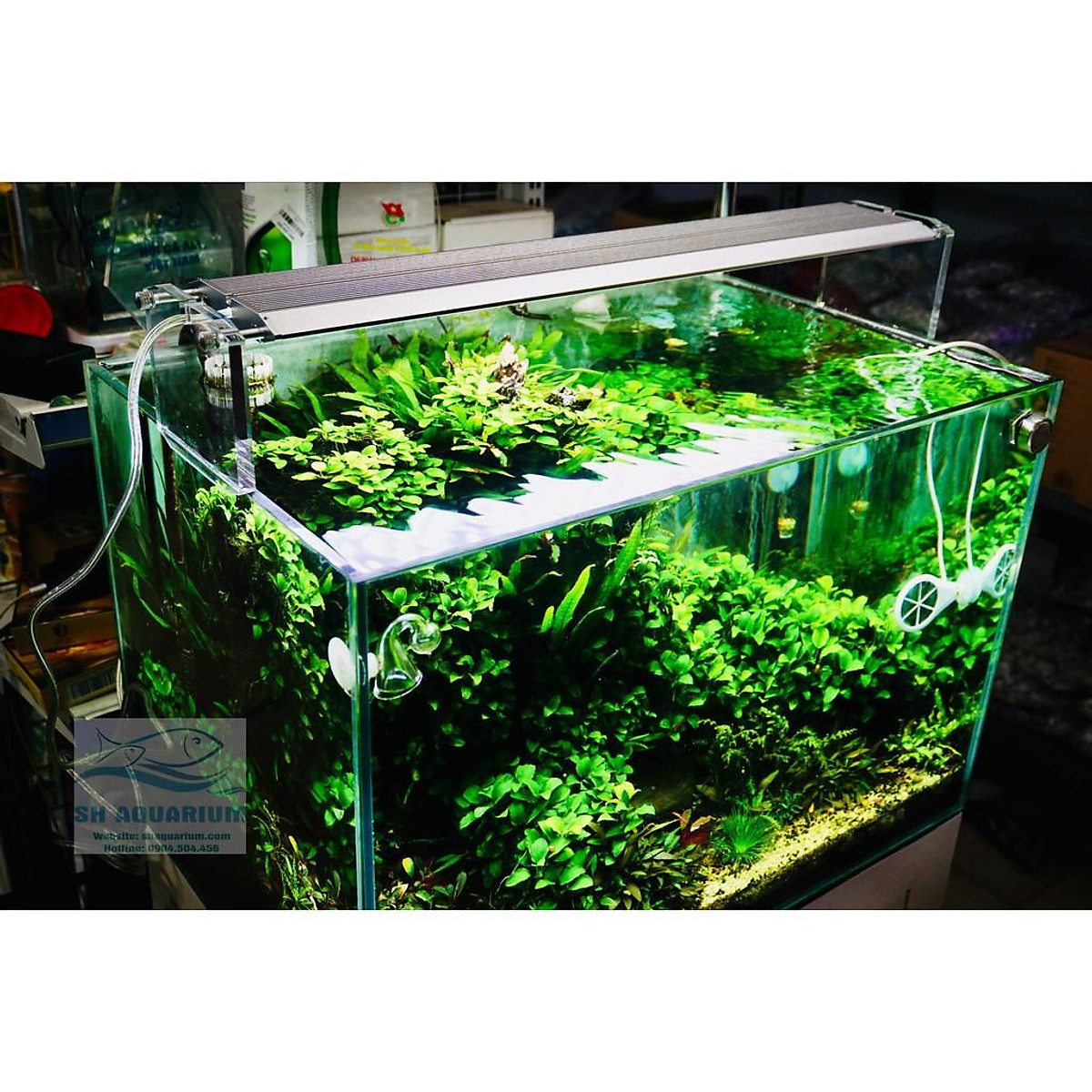 Mua ĐÈN WEEK AQUA M900 PRO tại SH AQUARIUM
