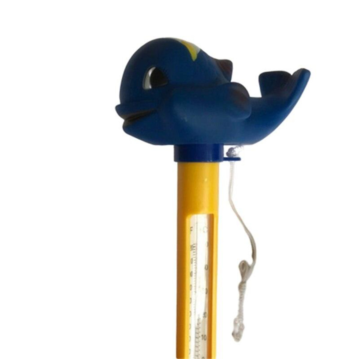 Floating Pool Thermometer Water Temperature Thermometers with String ...
