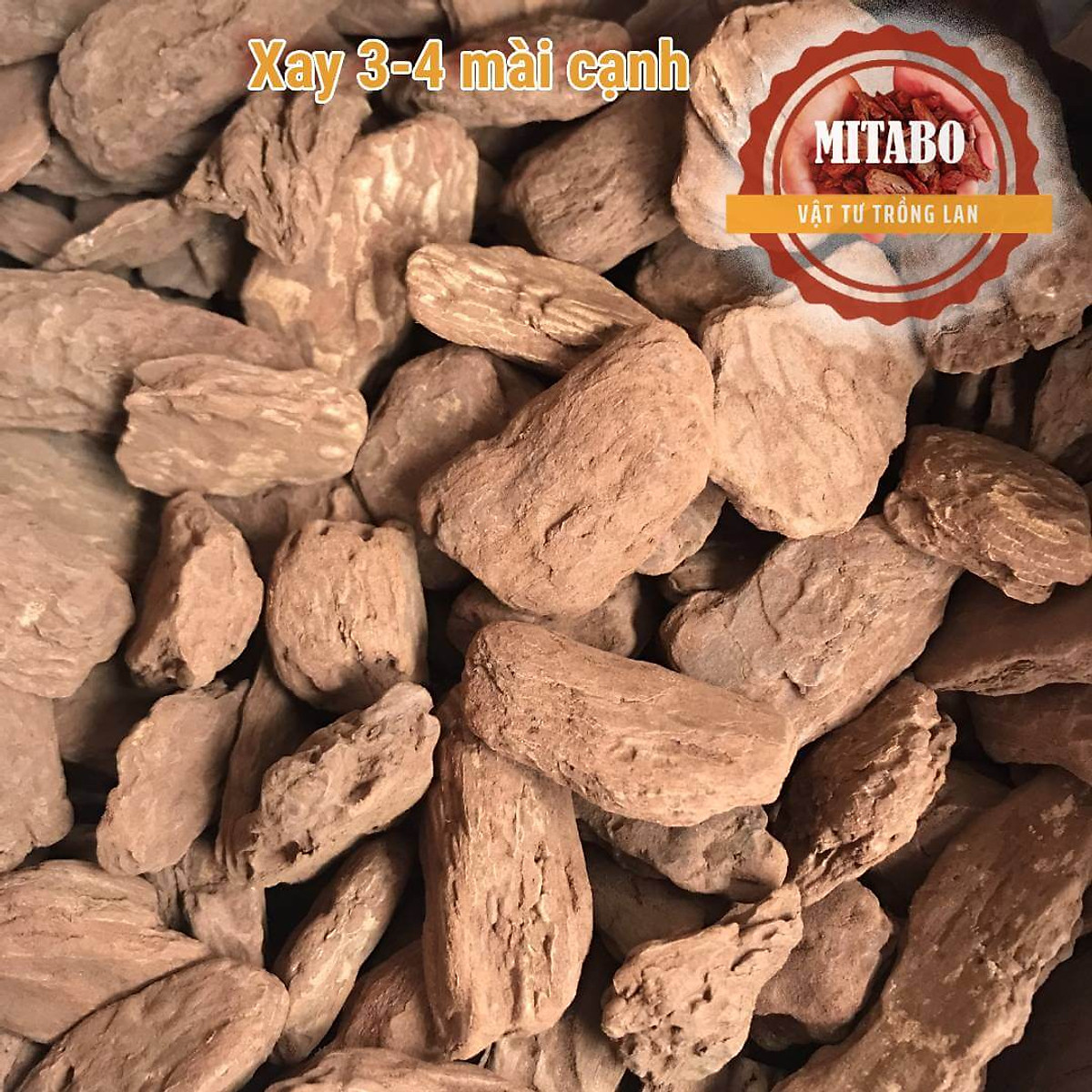 5kg vỏ thông kích thước 3-4cm mài cạnh tròn đẹp - Phụ kiện cây & hoa