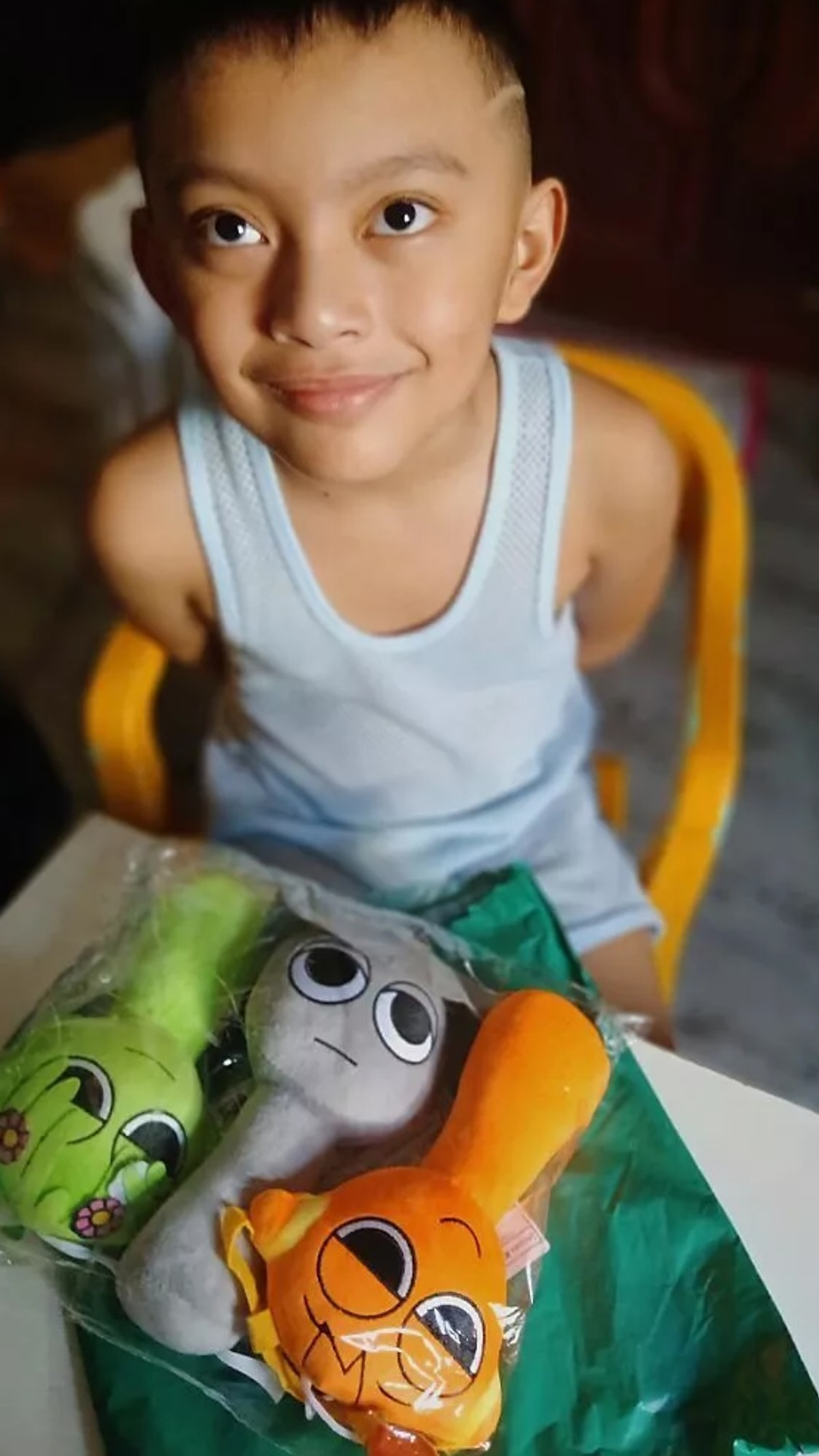 Gấu bông SPRUNKI incredibox 25cm ship HOẢ TỐC HCM đồ chơi thú nhồi bông ...