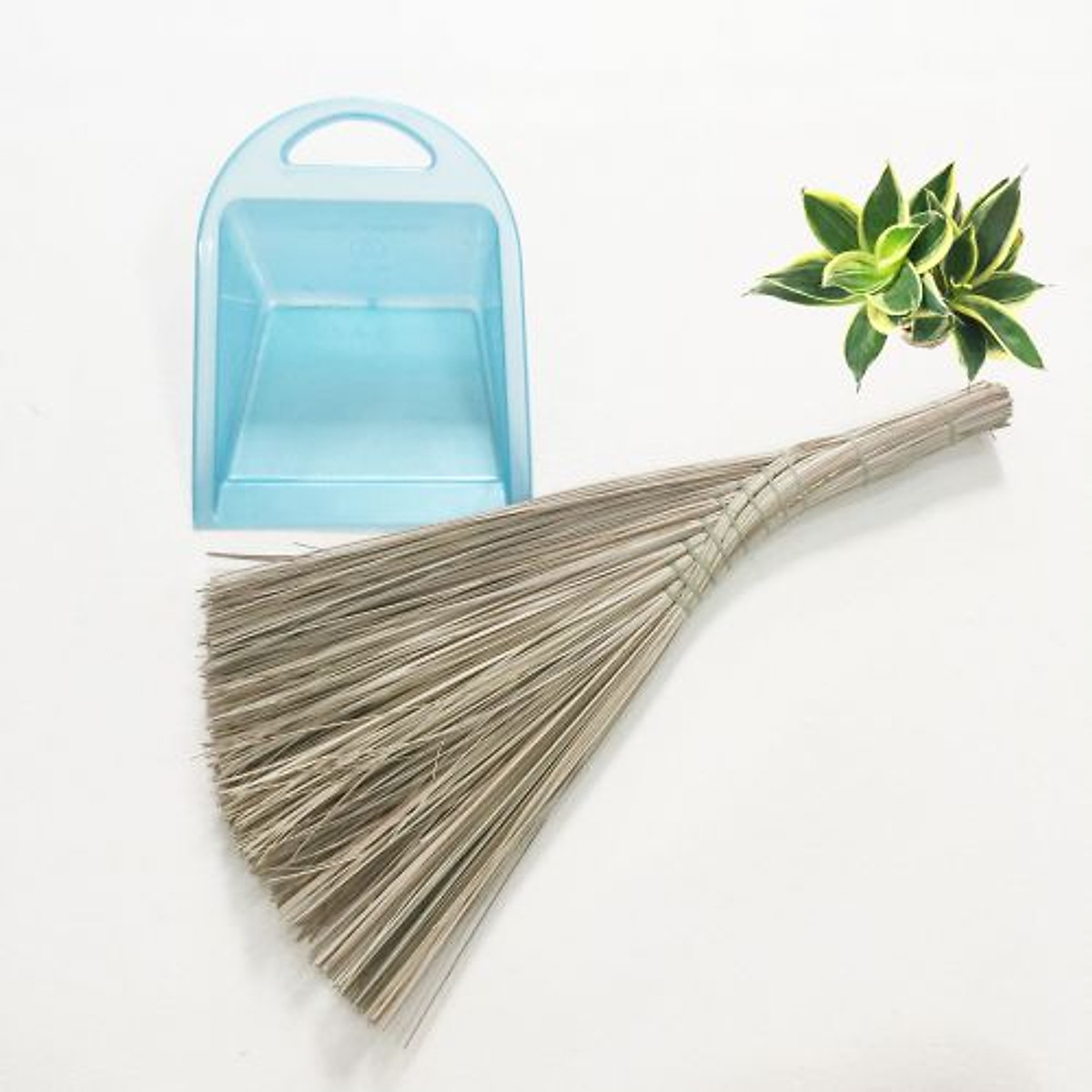 Chổi rễ - chổi chà - chổi xương - chổi dừa quét sân mini | Tiki