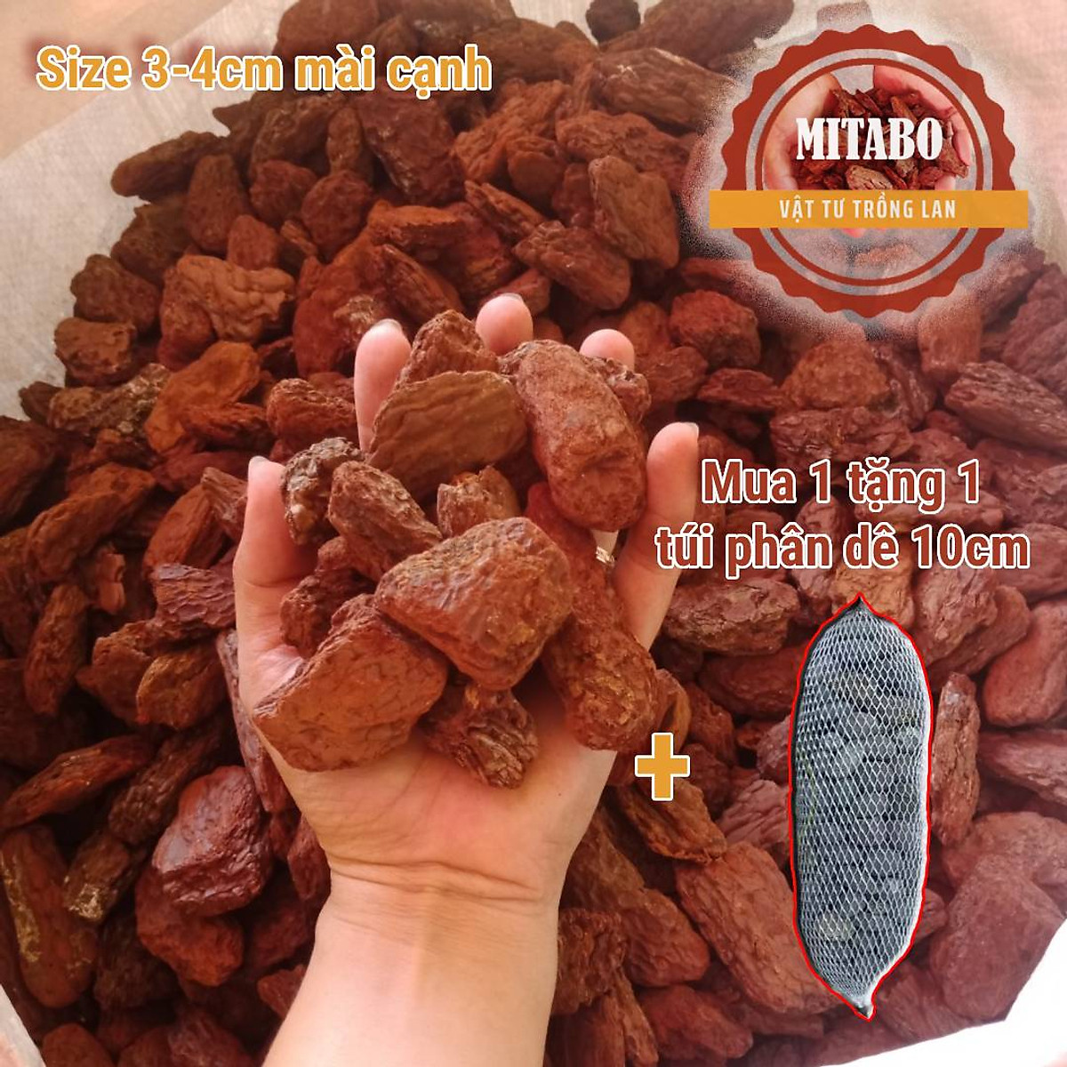 5kg vỏ thông kích thước 3-4cm mài cạnh tròn đẹp - Phụ kiện cây & hoa