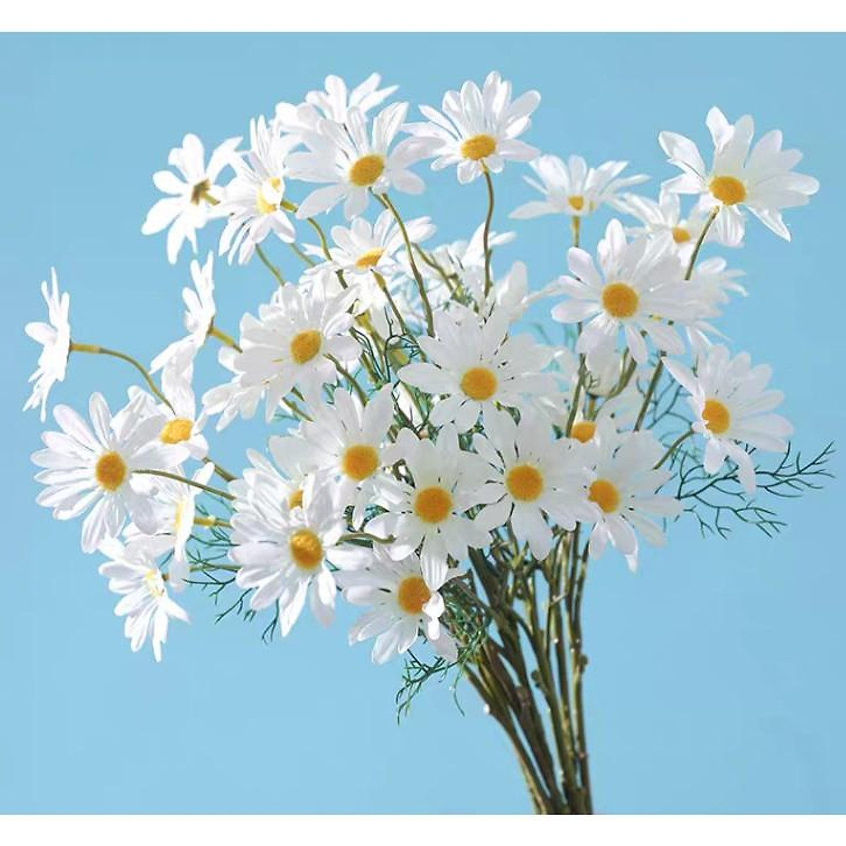 Mua Cành hoa cúc daisy trang trí - hoa trang trí đẹp