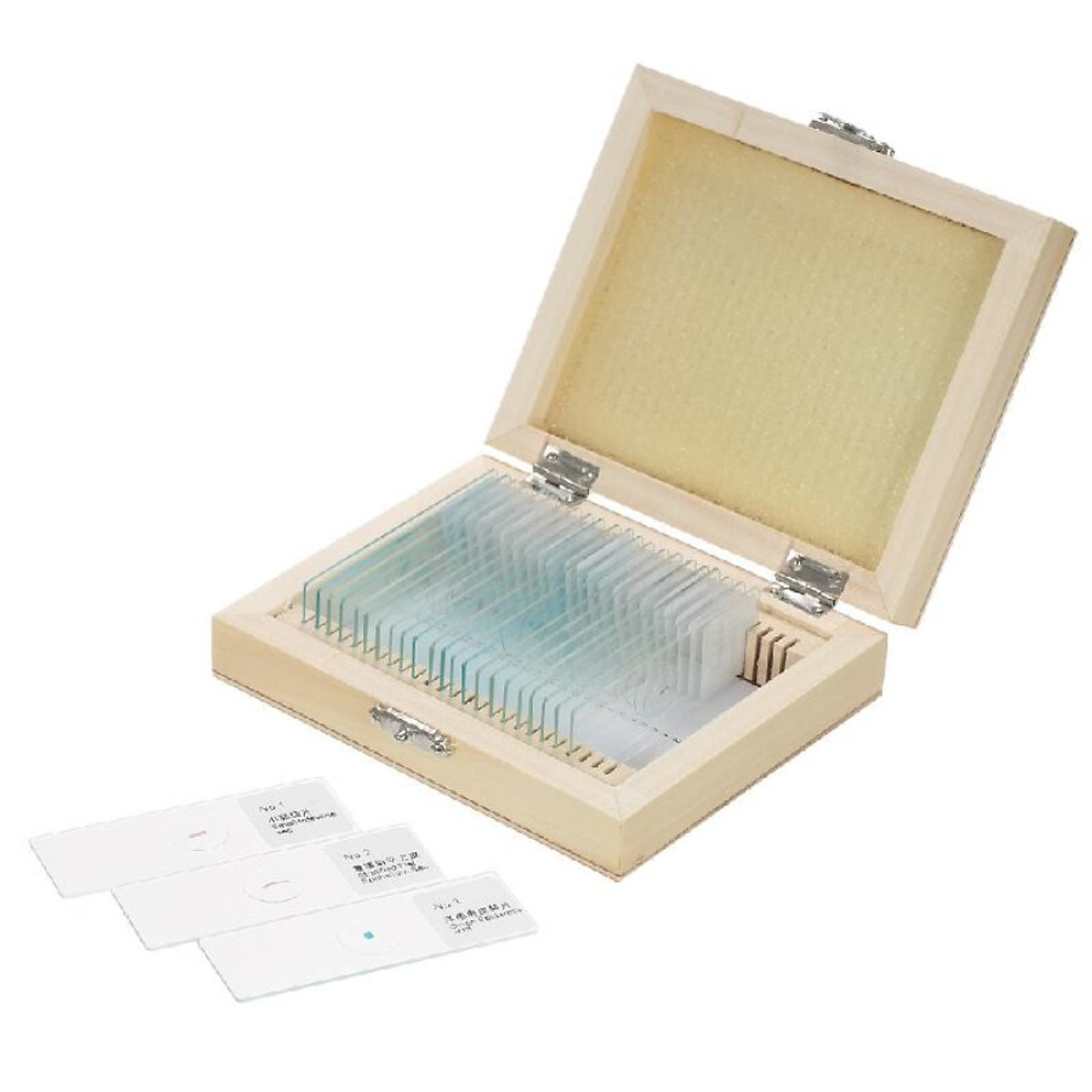 Mua KKmoon 25pcs/set Prepared Microscope Slides Animal Plants Insects ...