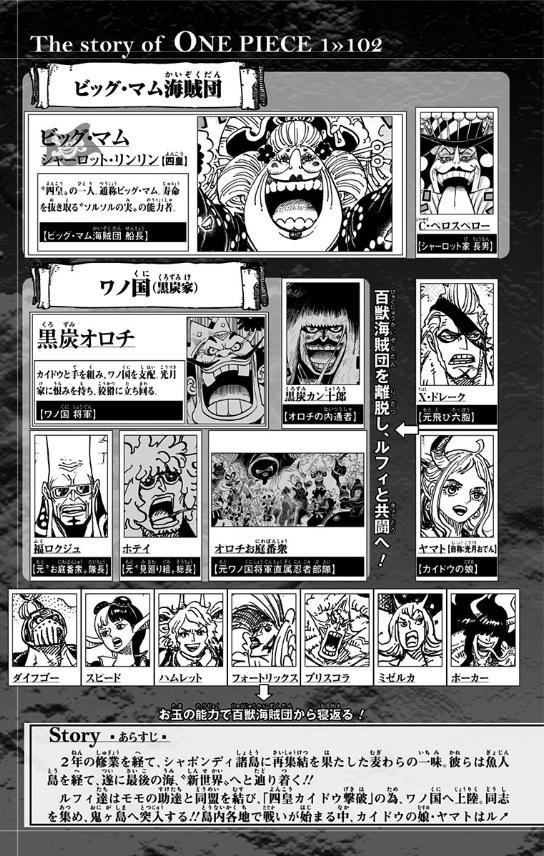 Review One Piece 102